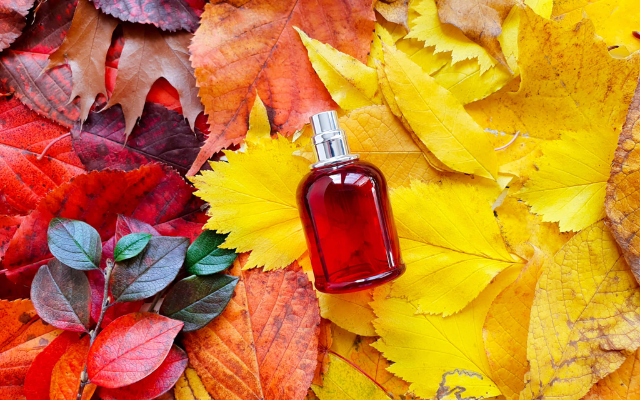 Discover the best Fall fragrances for 2024